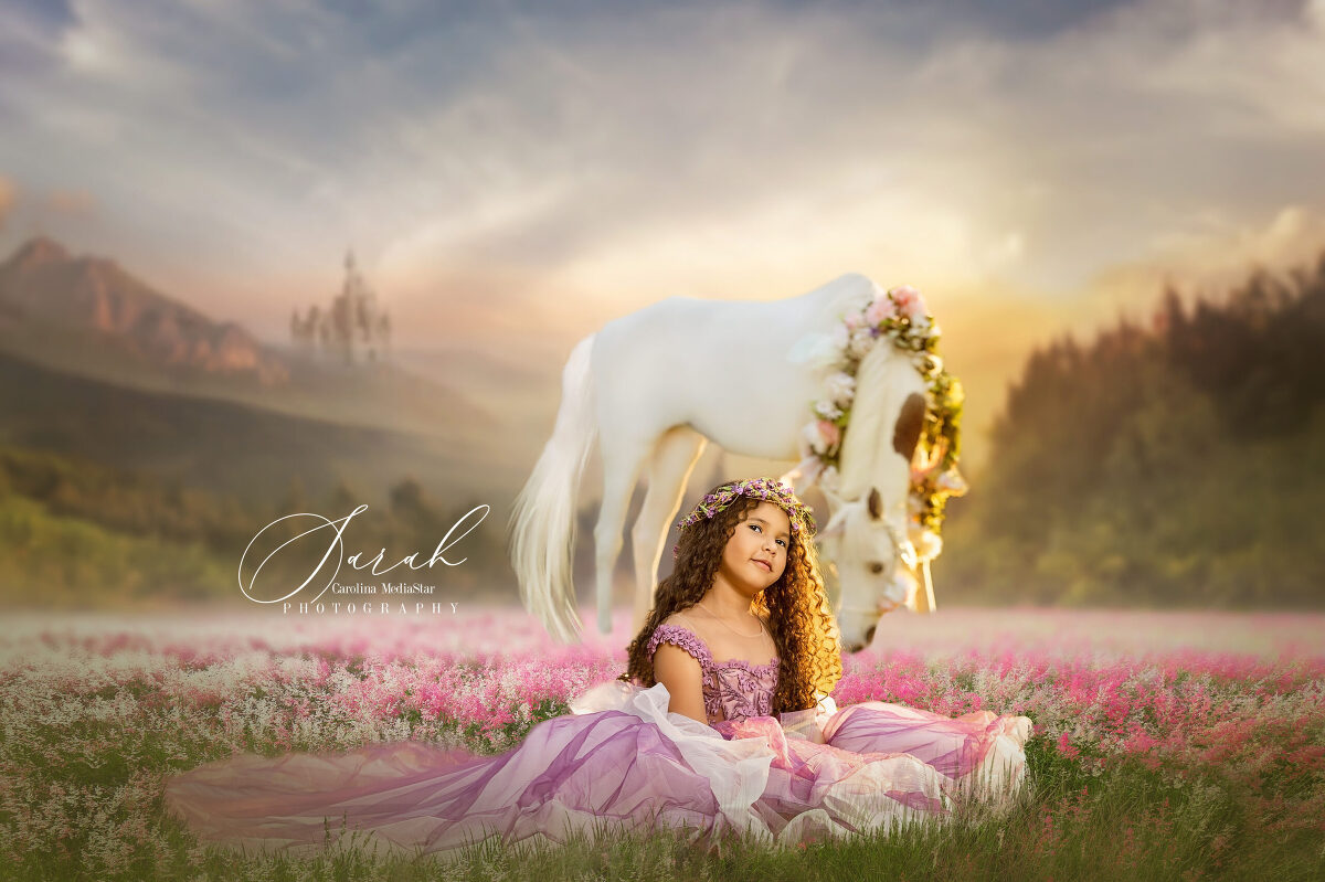 Dream Session Gallery